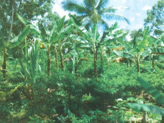 Farm / Agricultural Lot For Sale: WHITE HALL, Islington | $4,044,000