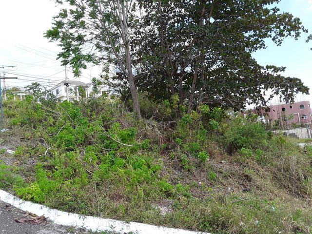 Residential Lot For Sale: ORCHID WAY, Mandeville | $4,000,000 | Keez