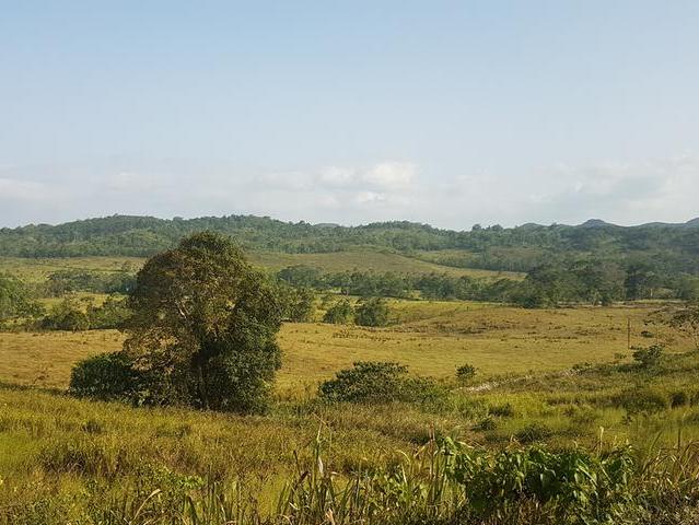 Residential Lot For Sale: LOT 52 FRIENDSHIP ESTATE, Walkerswood ...