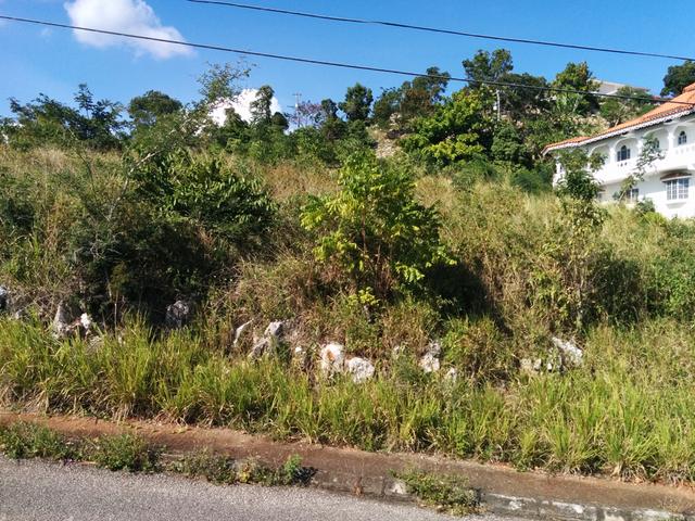Residential Lot For Sale: STANMORE ESTATE ROAD, Red Hills | $105,000 | Keez