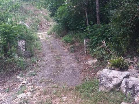 Residential Lot For Sale: SWAIN SPRING ROAD, Red Hills | $17,500,000 | Keez