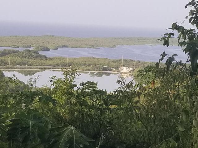 Development Land (Residential) For Sale: SALT MARSH, TRELAWNY, Falmouth ...