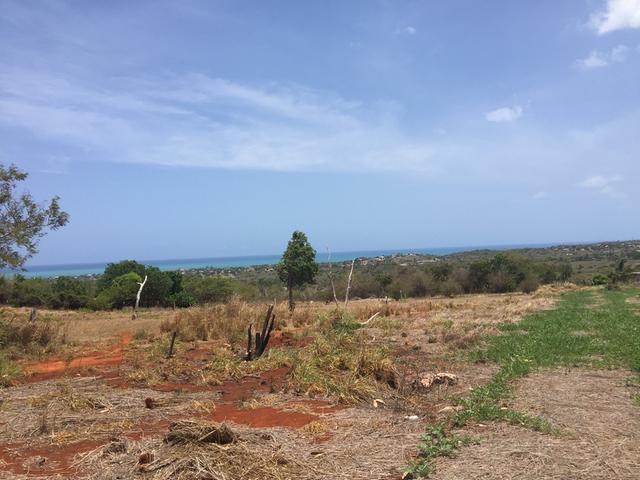 Residential Lot For Sale: PEDRO PLAINS - LOT 14, Treasure Beach ...