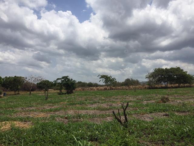 Residential Lot For Sale: PEDRO PLAINS - LOT 23, Treasure Beach ...