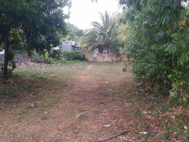 Residential Lot For Sale: 275 BUCKFIELD, OCHO RIOS, Ocho Rios ...