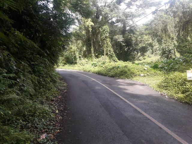 Residential Lot For Sale: COPSE , HANOVER, Chester Castle | $8,600,000 ...