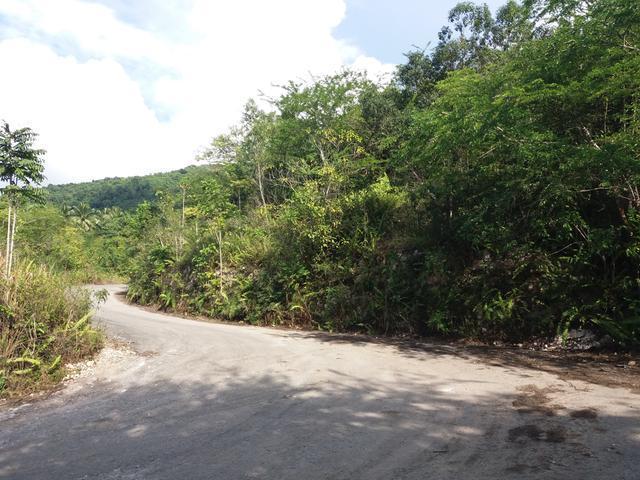 Residential Lot For Sale: LOT 13, RIO MAGNO ESTATE, Pear Tree Grove ...