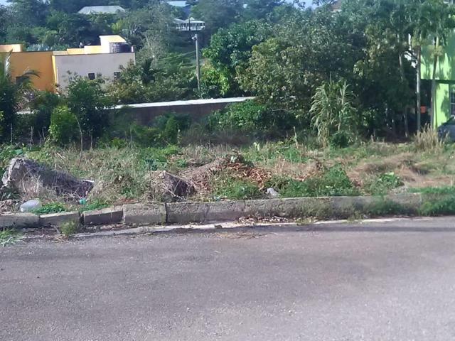 Residential Lot For Sale: COLLEGE VIEW WAY, Mandeville | $6,800,000 | Keez