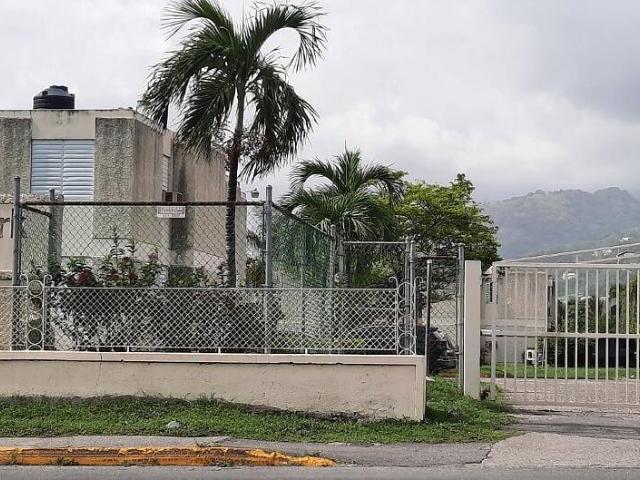 Apartment For Rent: HOPE ROAD, Kingston 6 | $100,000
