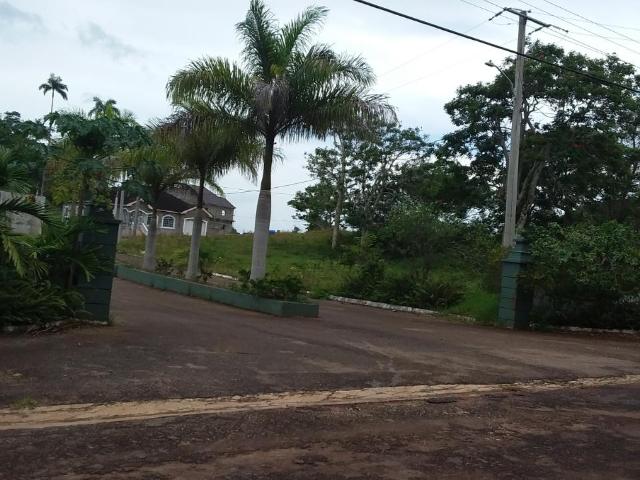 Residential Lot For Sale: LOT 24 ALBION ESTATE, Knockpatrick ...