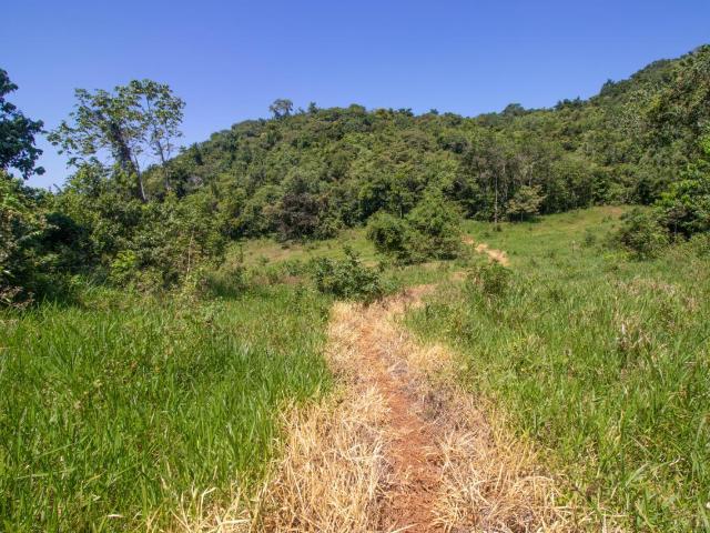 Development Land (Residential) For Sale: VAUGHNSFIELD, MAROON TOWN ...