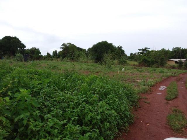 Residential Lot For Sale: PEDRO PLAINS ST.ELIZABETH, Treasure Beach ...