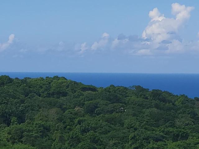 Residential Lot For Sale: CARDIFF HALL, RUNAWAY BAY, Runaway Bay ...