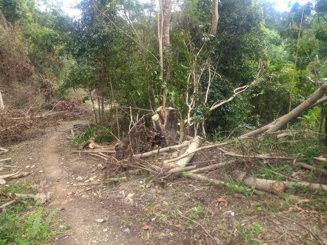 Development Land (Residential) For Sale: SWAIN SPRING, MAVERLY MOU, Red ...