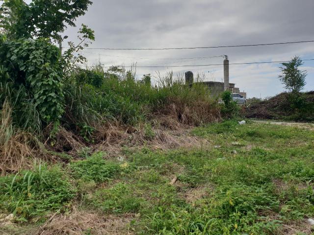 Residential Lot For Sale: IRWIN POINT. BARBARA ANN, Montego Bay ...