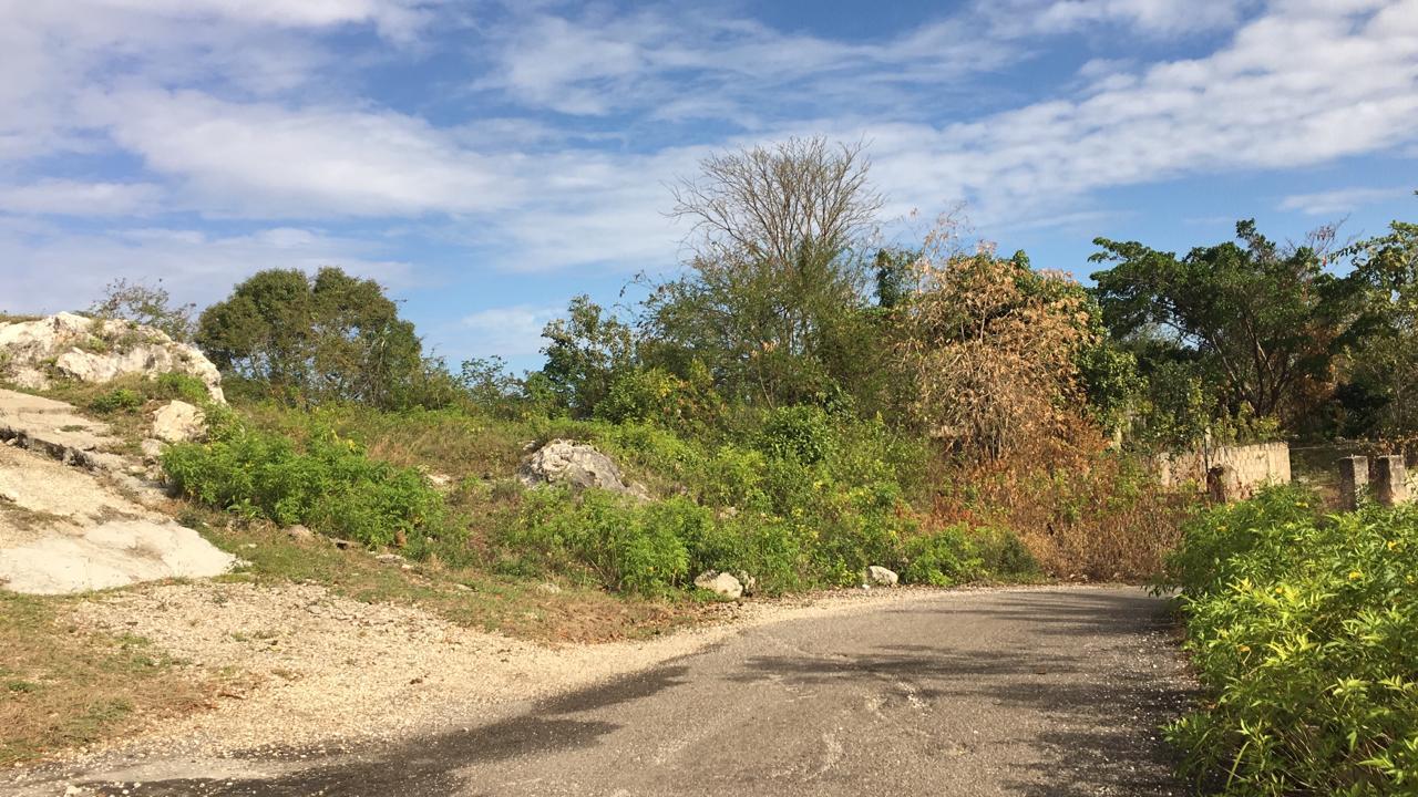 Residential Lot For Sale: WHITEHALL NEGRIL, Negril | $4,200,000 | Keez