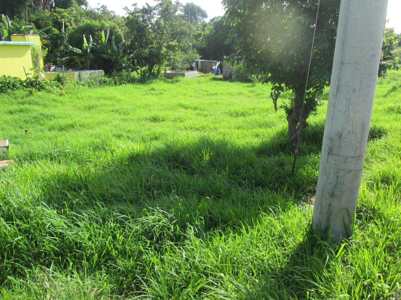 Residential Lot For Sale: MINARD ESTATE, Browns Town | $6,000,000 | Keez