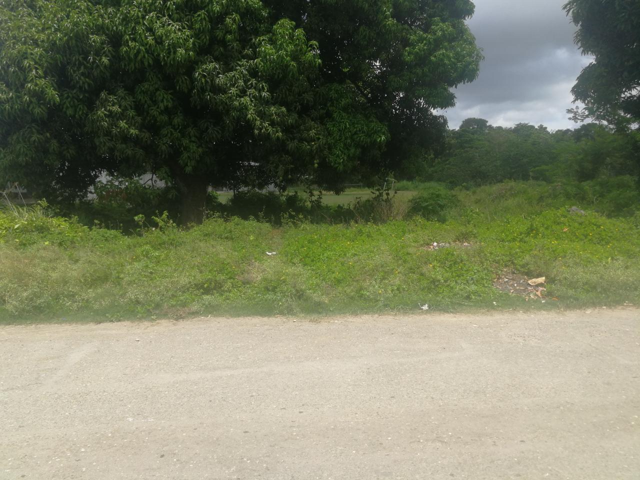 Residential Lot For Sale: CURTIS BOTTOM ROAD, Port Morant | $9,000,000 ...