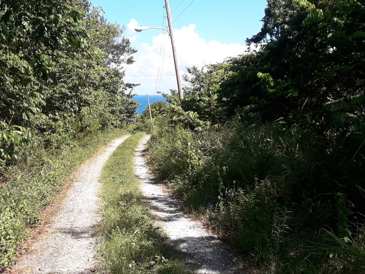 Residential Lot For Sale: RETREAT, Buff Bay | $3,250,000 | Keez