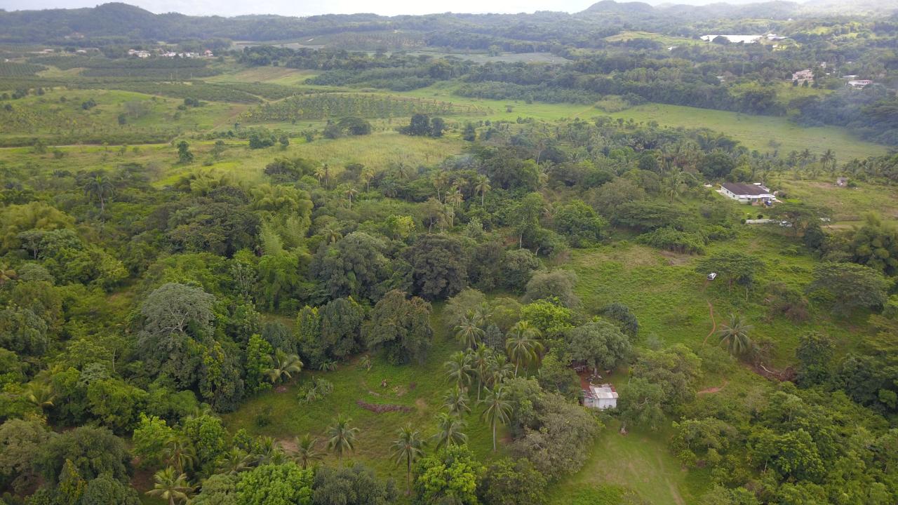 Residential Lot For Sale: ROSE HALL, LINSTEAD, Linstead | $8,500,000 | Keez