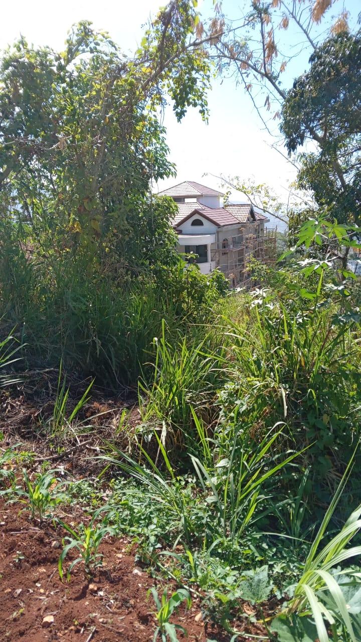 Residential Lot For Sale: THOMPSON BOULEVARD, VANTA, Red Hills ...