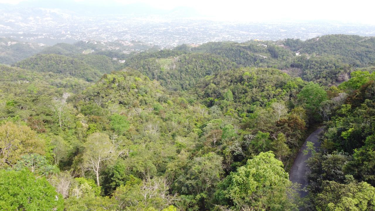 Development Land (Residential) For Sale: SWAIN SPRING ROAD, Red Hills ...