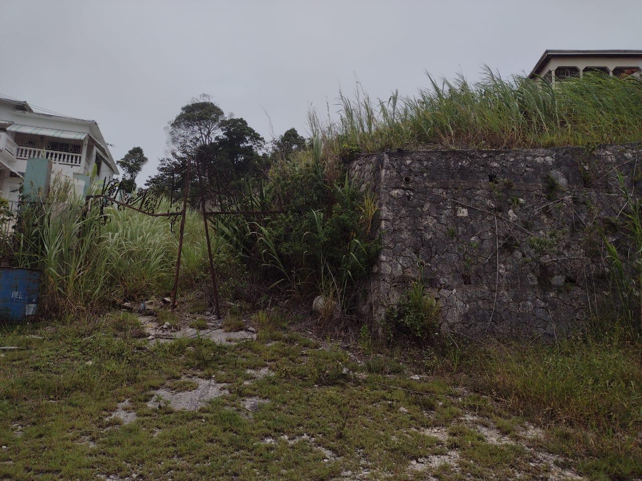 Residential Lot For Sale: LILLY DRIVE, MANDEVILLE,, Mandeville ...
