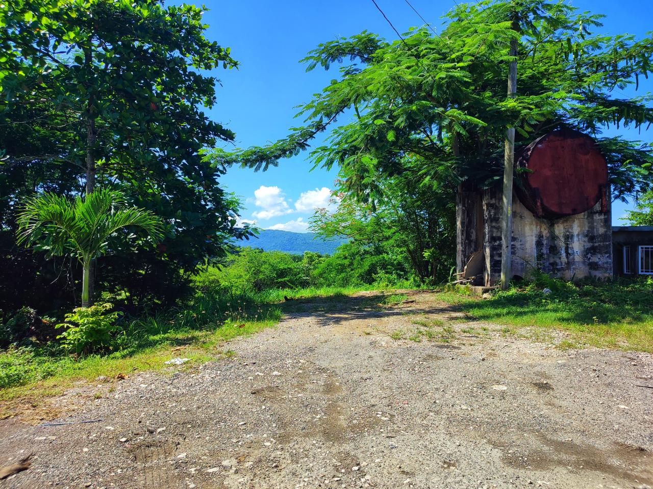 Residential Lot For Sale: BEGONIA LODGE, LINSTEAD,, Linstead ...