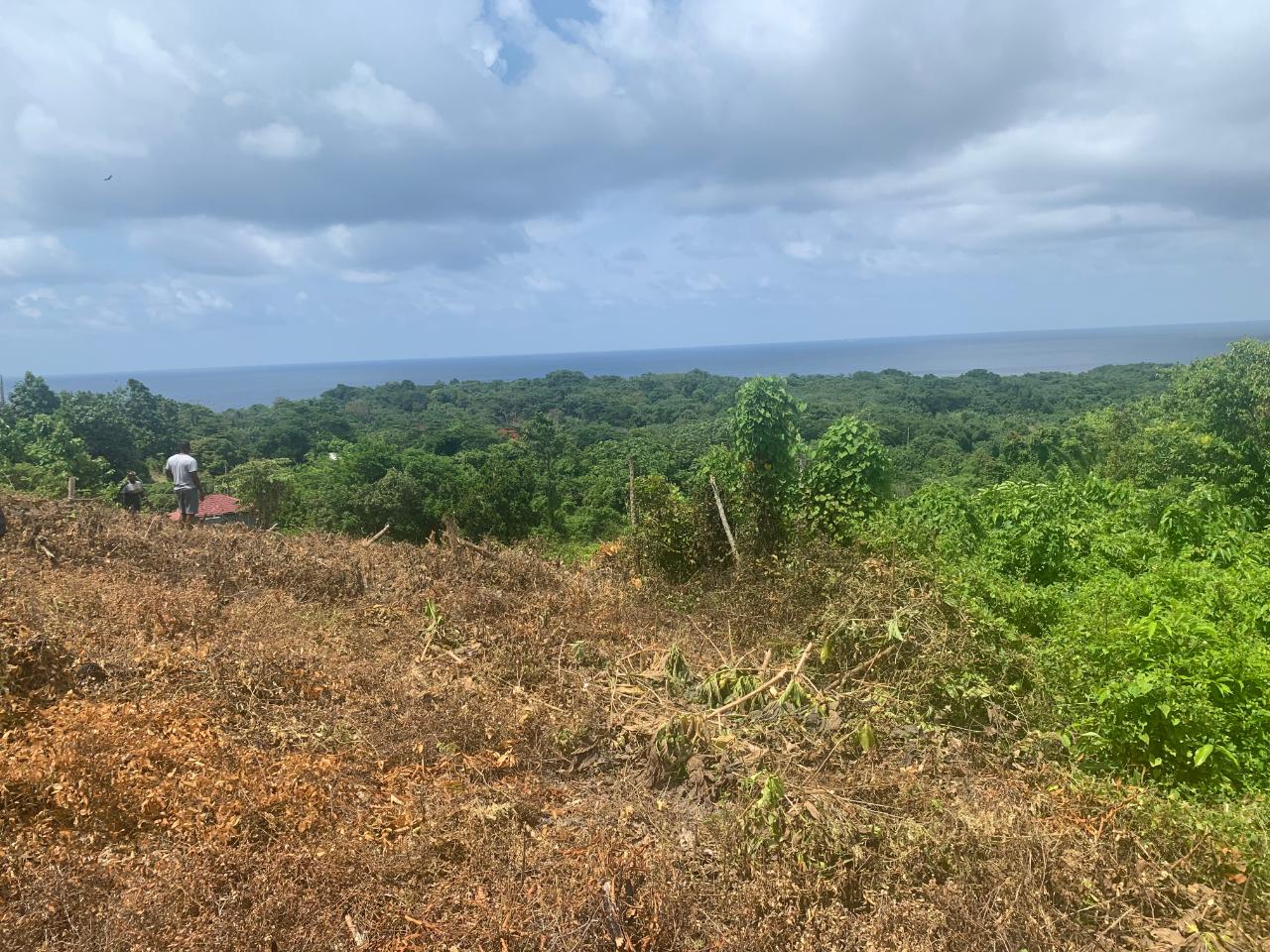 Residential Lot For Sale: COMMODORE, FAIR PROSPECT, Long Bay | $50,000 ...