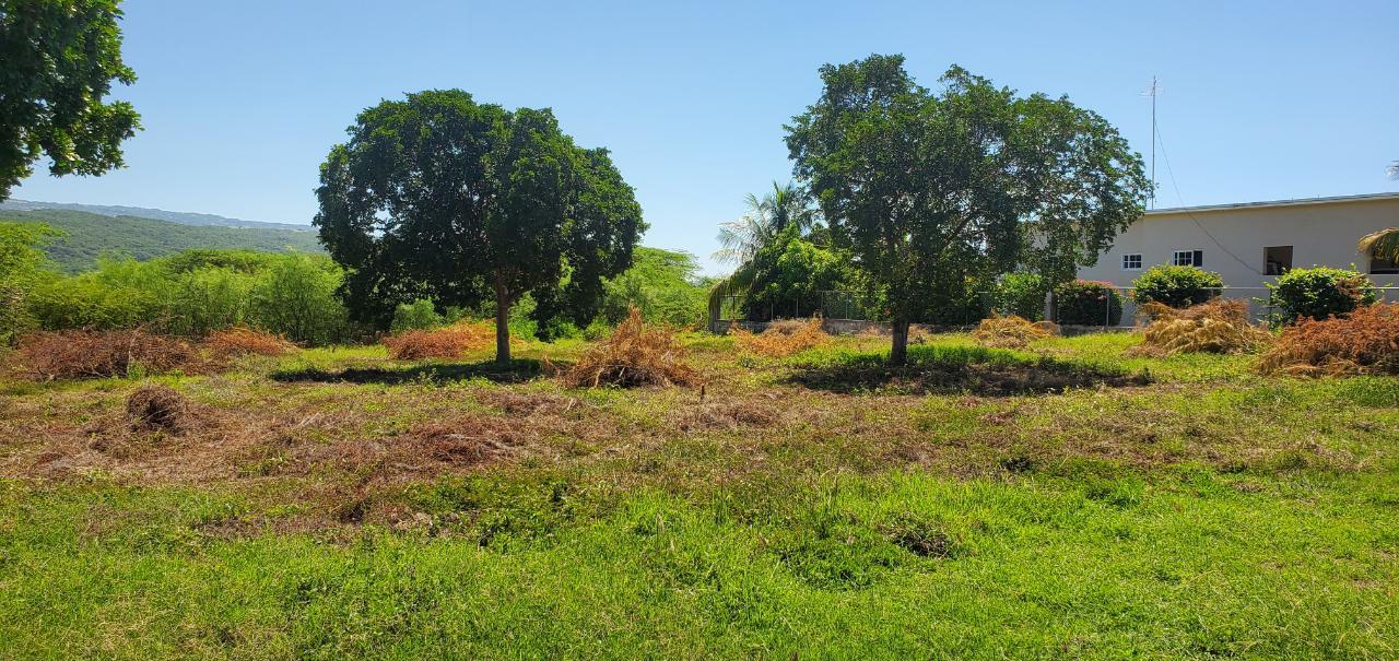 Residential Lot For Sale: CASHAW PARK ,OLD WHARF, Treasure Beach ...
