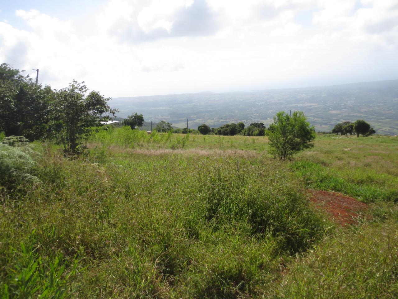 Residential Lot For Sale: IVAN BROWN BLVD, Malvern | $5,000,000 | Keez