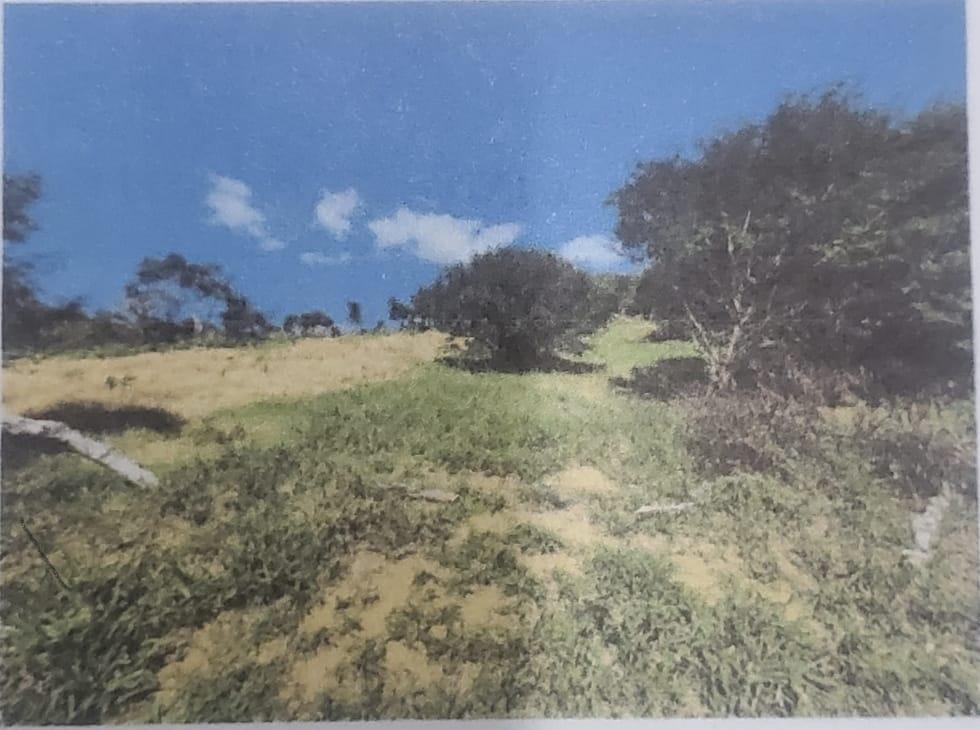 Residential Lot For Sale: LAND PART OF BALLYNURE CA, Mile Gully ...