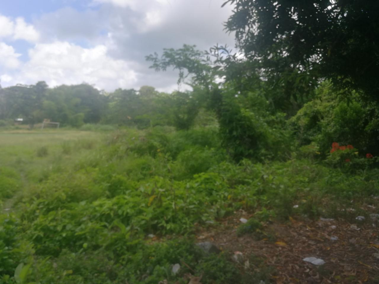 Residential Lot For Sale: CURTIS BOTTOM ROAD, Port Morant | $5,500,000 ...