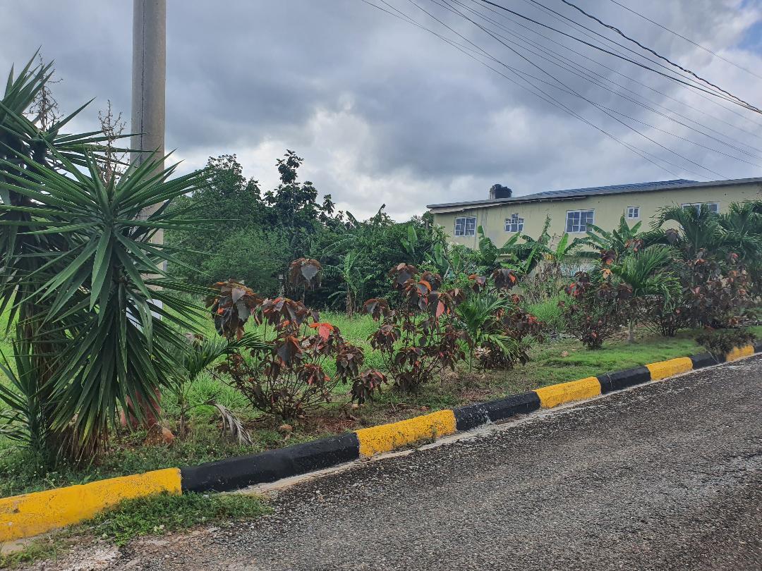 Residential Lot For Sale: ROSEMOUNT CHERRY GARDENS, Spanish Town ...