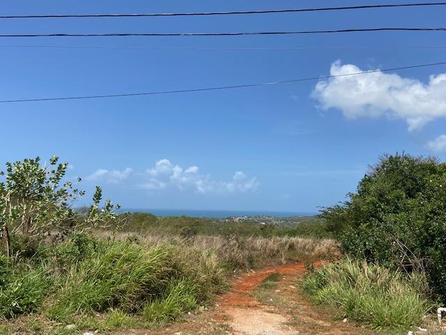 Residential Lot For Sale: PEDRO PLAINS, CALABASH BA, Treasure Beach ...