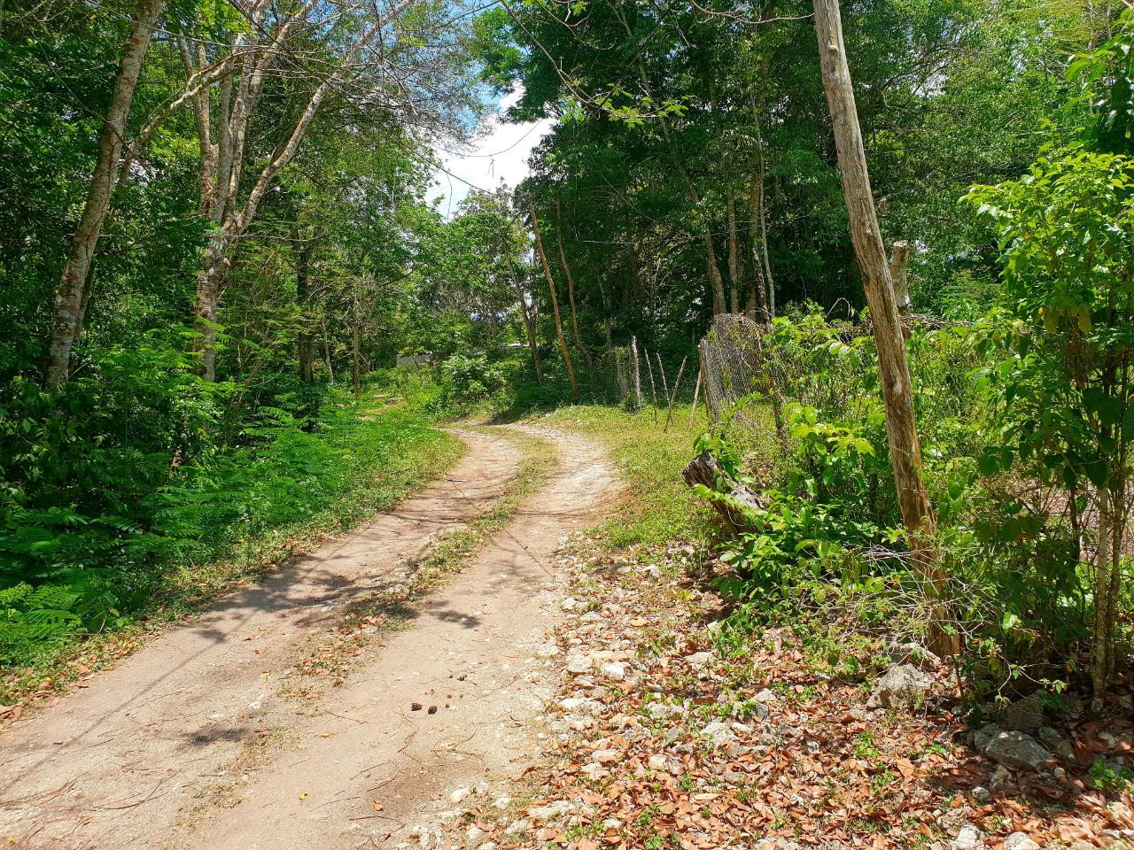 Development Land (Residential) For Sale: GREENSIDE, TRELAWNY, Falmouth ...