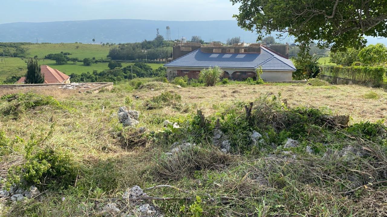 Residential Lot For Sale: ORTANIQUE DRIVE,SPUR TREE, Spur Tree ...