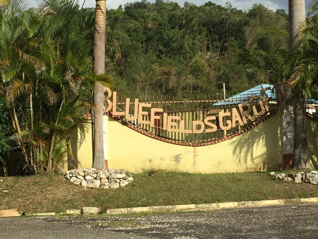 Residential Lot For Sale: RICKETTS WAY, BLUEFIELDS, 1442 | $12,000,000 ...