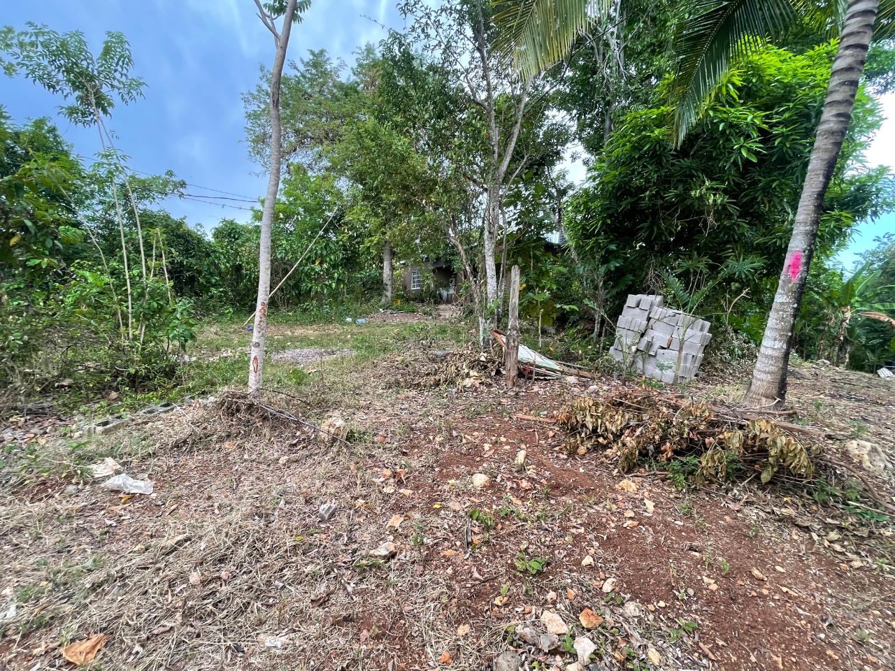 Residential Lot For Sale: BULLET TREE, OLD HARBOUR, Old Harbour ...