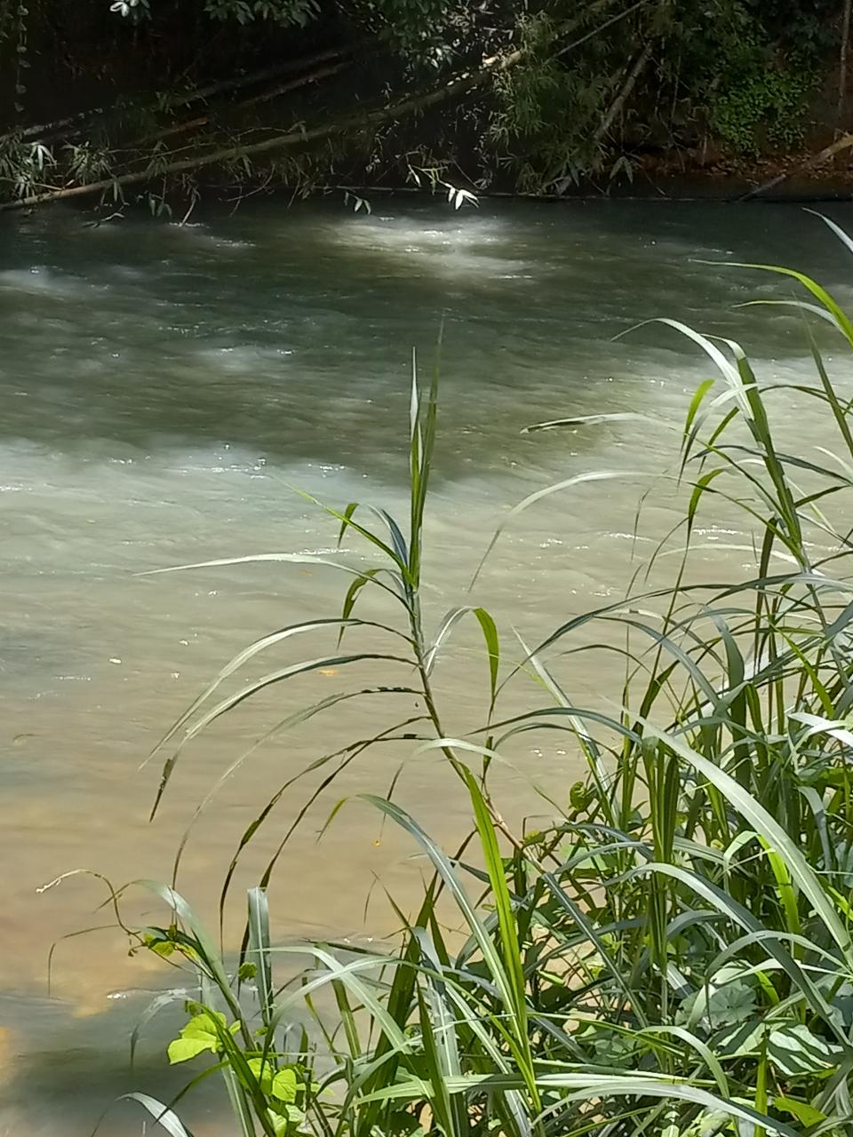 Development Land (Residential) For Sale: EDEN ESTATE, Mount Carey ...