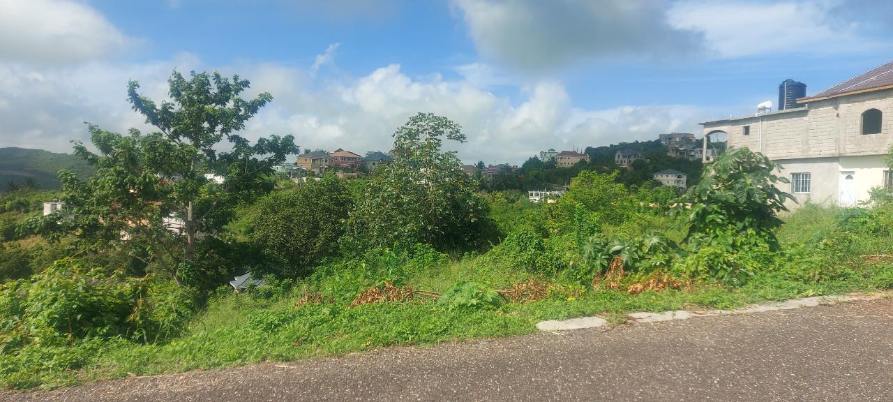 Residential Lot For Sale: BONNIE VIEW, MELROSE PEN,, Williamsfield ...