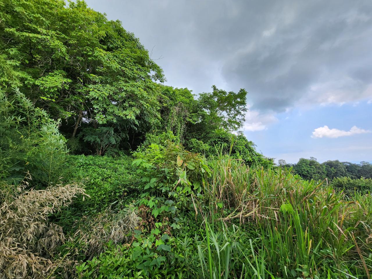 Residential Lot For Sale: FRT. GEORGE EST. KGN 9, STONY HILL | $20,000,000