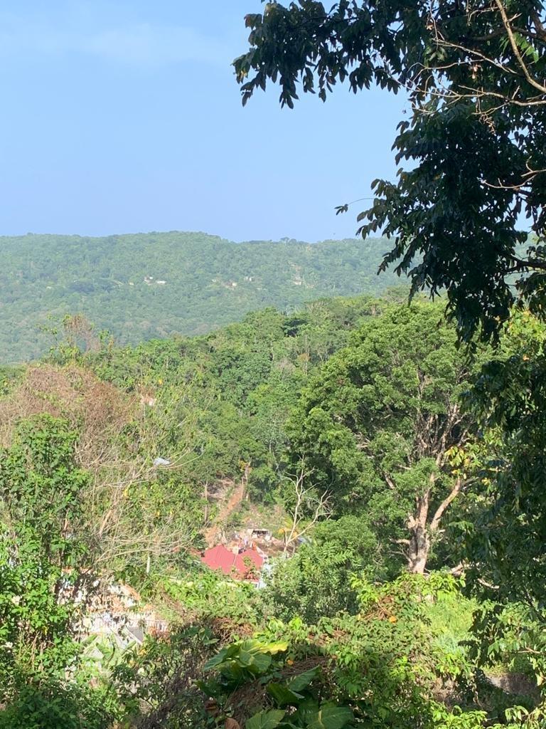 House For Sale: LIME HALL, Lime Hall | $8,500,000 | Keez