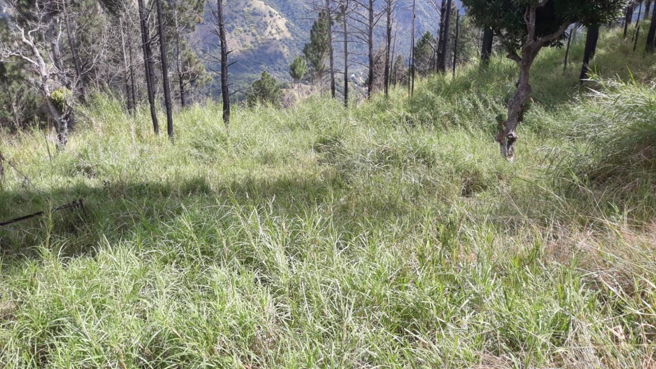 Residential Lot For Sale: MAVIS BANK ST ANDREW, Mavis Bank | $2,500,000 ...