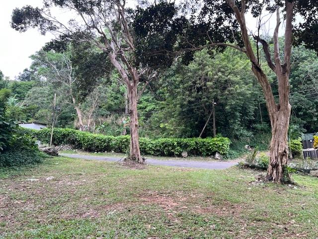 Residential Lot For Sale: SWAIN SPRING RD, Red Hills | $5,500,000 | Keez