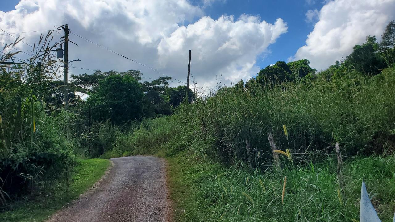 Residential Lot For Sale: GREENVALE RD, MANDEVILLE, Mandeville ...