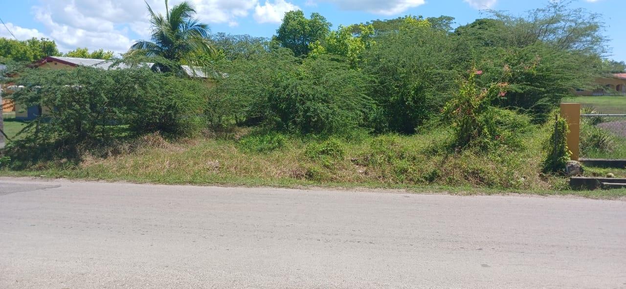 Residential Lot For Sale: CONTENT ROAD, Denbigh | $4,500,000 | Keez