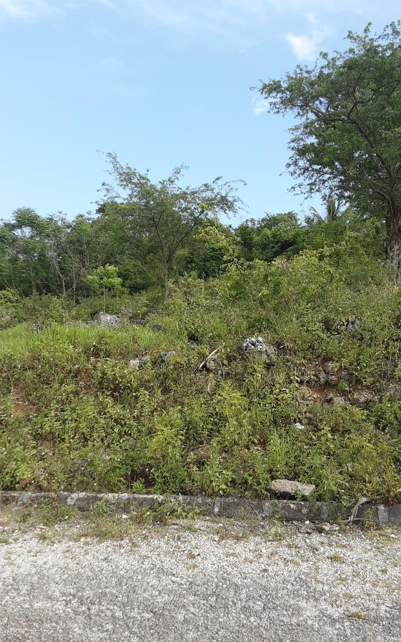 Residential Lot For Sale: LOT 36 WILLIAMSFIELD, Williamsfield | $8,000,000