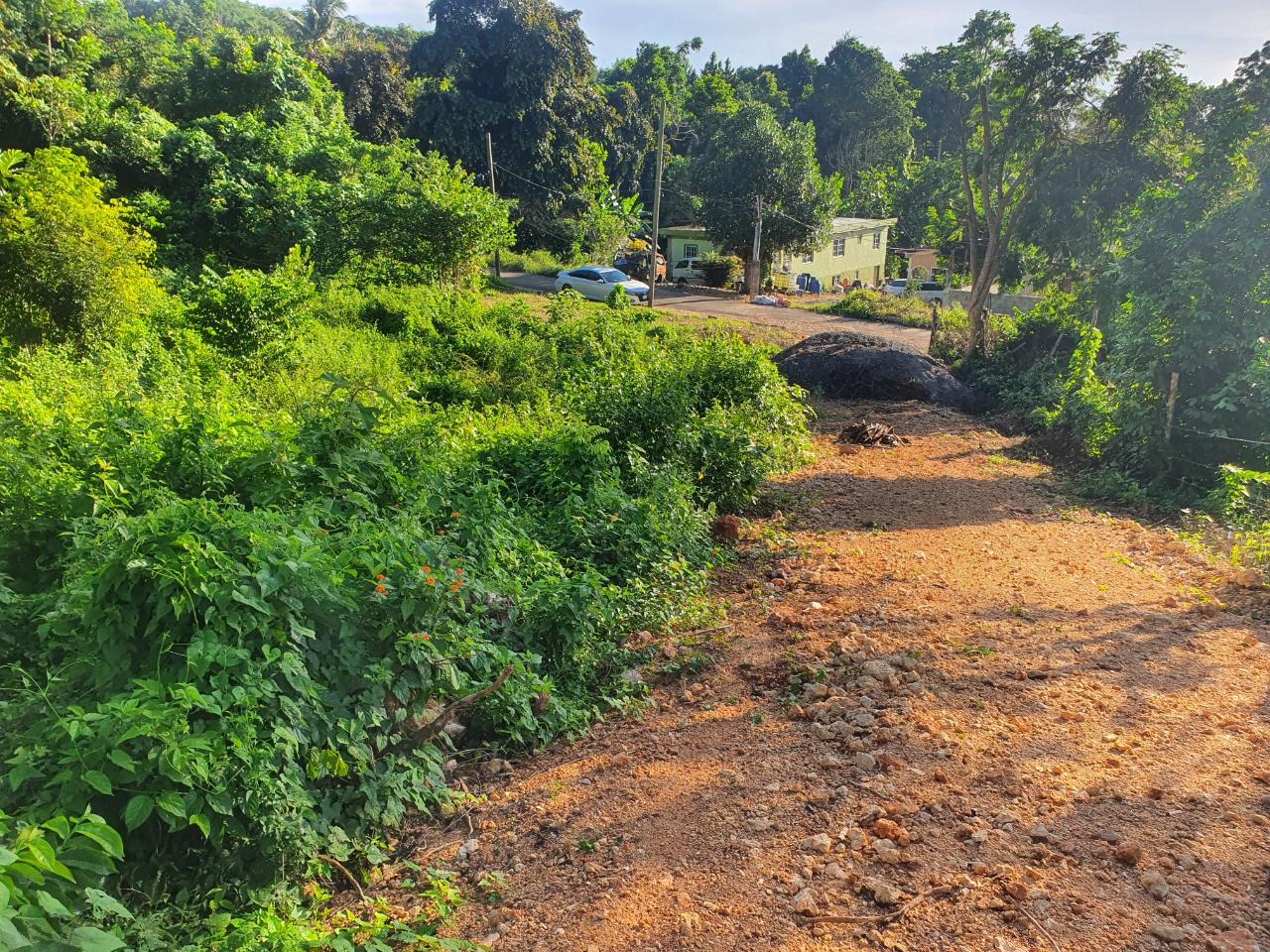 Residential Lot For Sale: MACCA TREE, Macca Tree | $6,000,000 | Keez