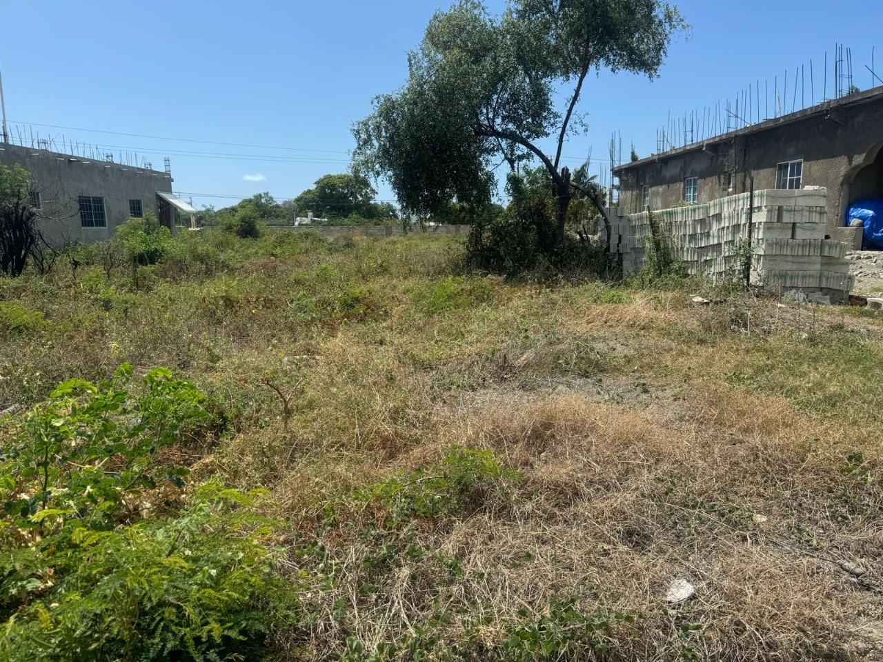 Residential Lot For Sale: ALBION ESTATE, Albion Estate | $9,000,000 | Keez